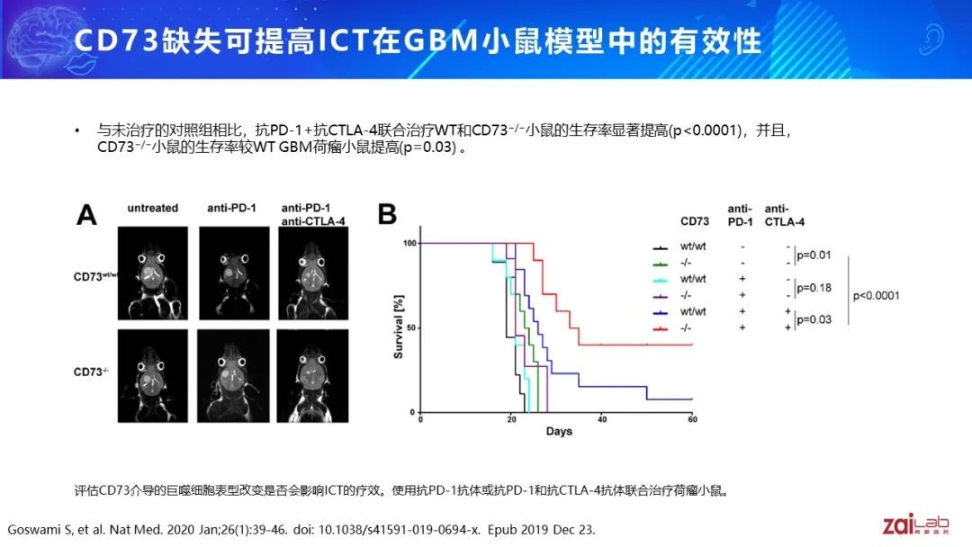 CD73是胶质母细胞瘤的一个联合靶点_医学界-助力医生临床决策和职业成长
