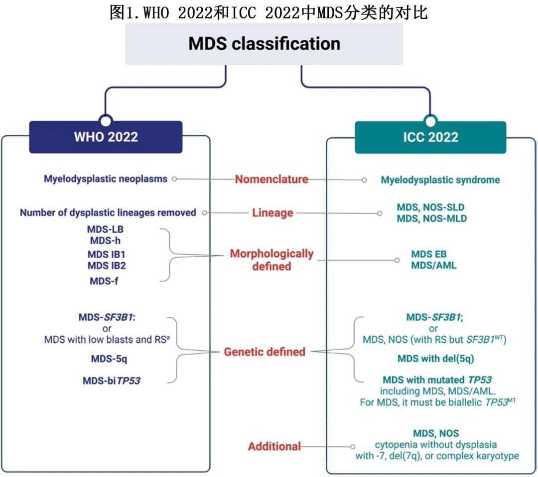 较高危MDS的一线治疗，能否超过阿扎胞苷？这篇文章回答啦_医学界-助力医生临床决策和职业成长