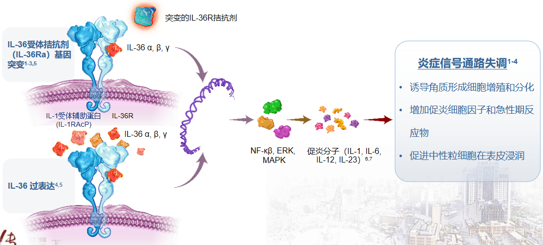 GPP医学顾问委员会成立，为罕见皮肤病注入更多力量_医学界-助力医生临床决策和职业成长