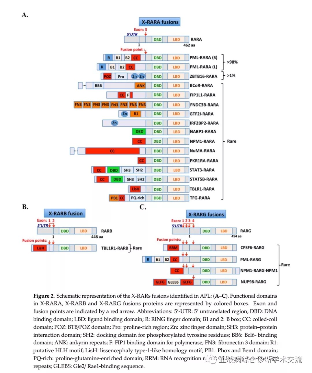 血液三胞胎之经典型APL 、变异型APL和APL样白血病_医学界-助力医生临床决策和职业成长