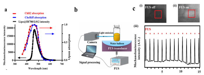 JACS：超声触发用于无创光遗传学的原位光子发射_医学界-助力医生临床决策和职业成长