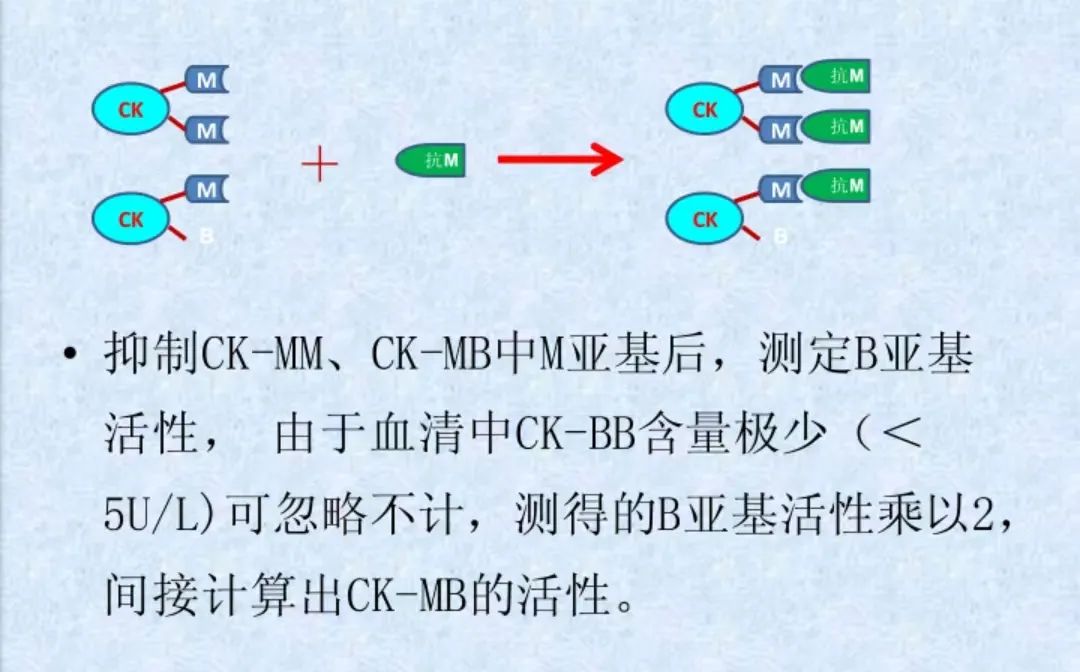 一例血清CK-MB异常升高引起的思考_医学界-助力医生临床决策和职业成长
