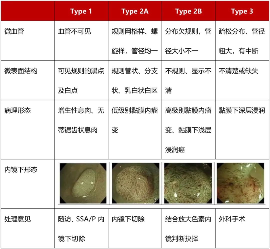 内镜发现消化道早癌，分型太多不知道怎么判断？_医学界-助力医生临床决策和职业成长