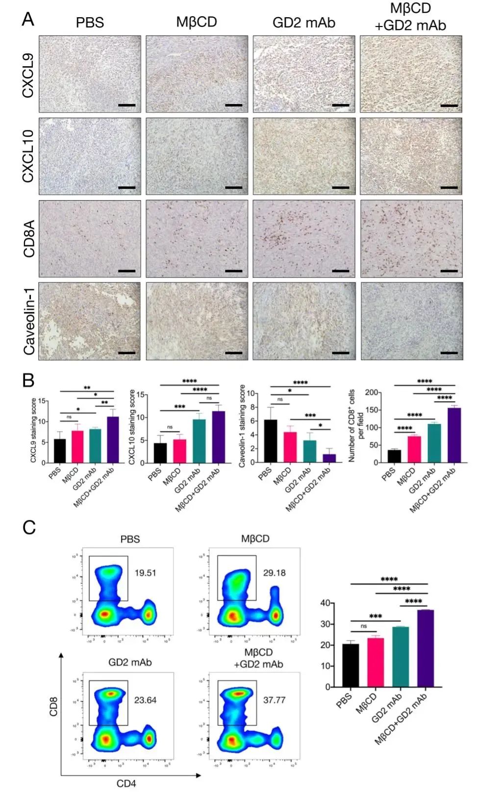 赵强团队发现神母细胞瘤微环境调控机制及潜在治疗靶点_医学界-助力医生临床决策和职业成长