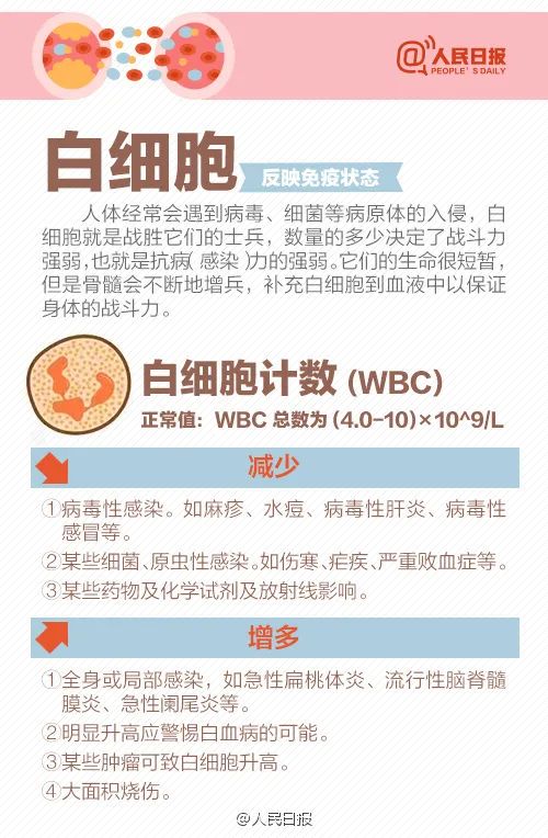 实用推荐,8张图教你看懂血常规化验单医学界 助力医生临床决策和职业成长