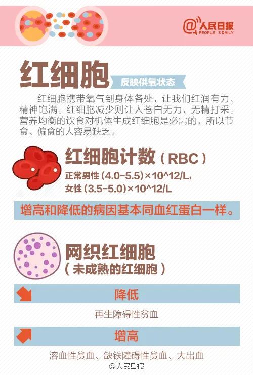实用推荐,8张图教你看懂血常规化验单医学界 助力医生临床决策和职业成长