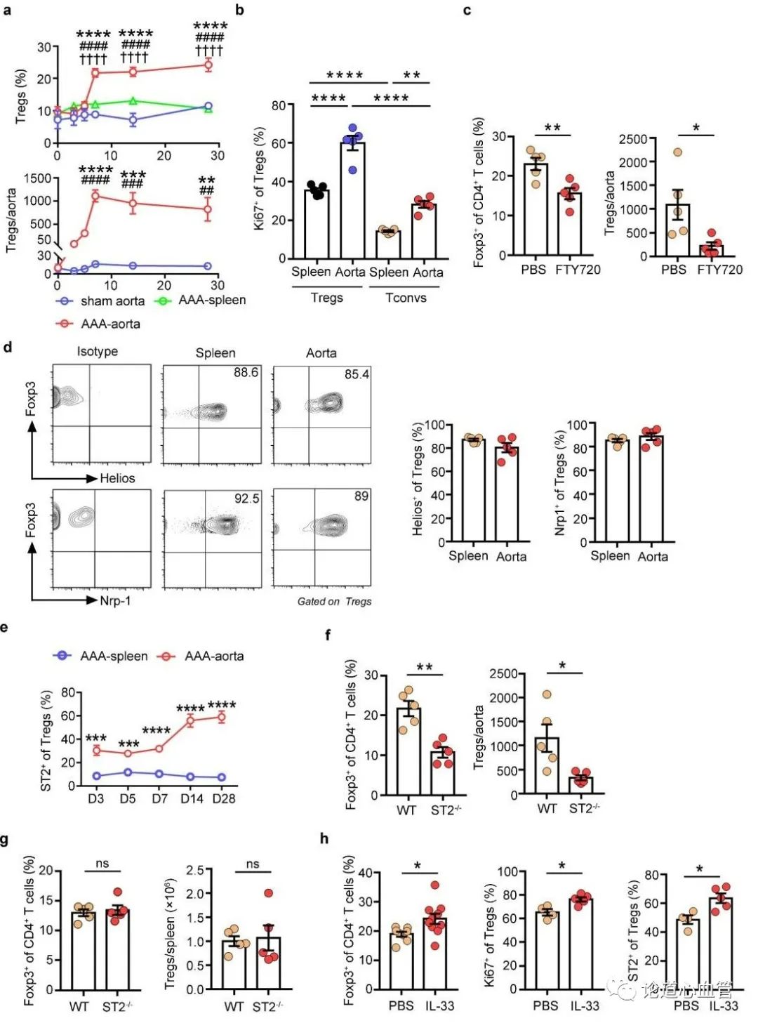组织特异性的调节性T细胞通过分泌Tff1保护腹主动脉瘤的新机制_医学界-助力医生临床决策和职业成长