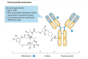 首款FRα-ADC药物突出重围，获FDA加速批准治疗难治性卵巢癌_医学界-助力医生临床决策和职业成长