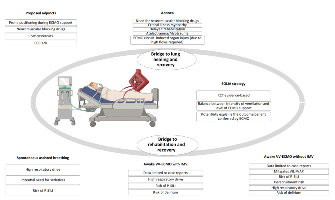 如何减轻肺损伤？静脉-静脉体外膜肺氧合的机械通气策略来了_医学界-助力医生临床决策和职业成长
