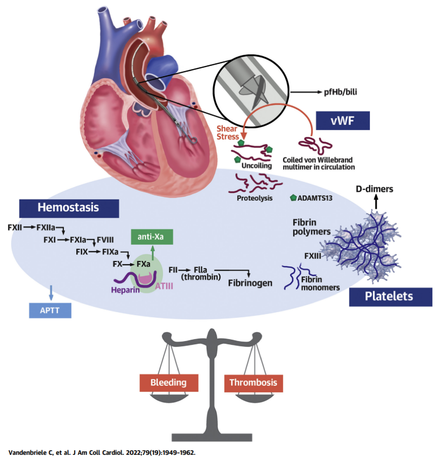 CCI创新周讯| Impella基本结构和常见并发症_医学界-助力医生临床决策和职业成长