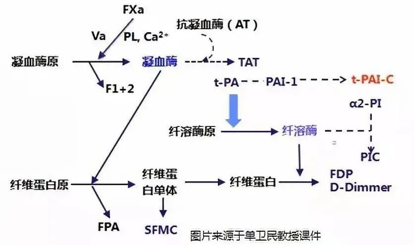 新血栓标志物六项，你想知道的都在这里_医学界-助力医生临床决策和职业成长