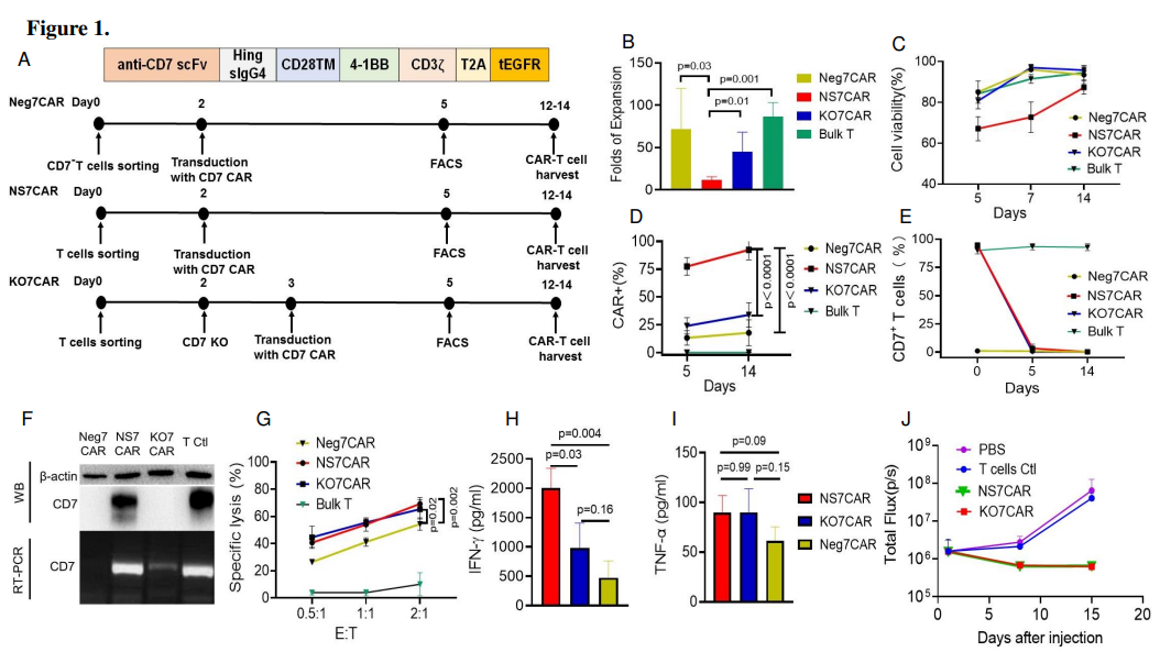 CD7 CAR-T治疗T淋巴细胞恶性肿瘤I期研究结果_医学界-助力医生临床决策和职业成长
