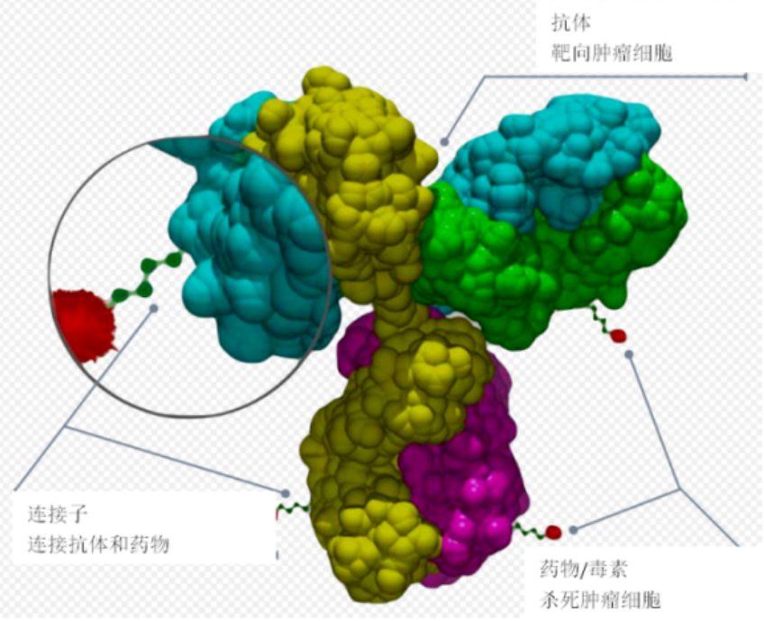 新世纪射向癌症的魔法子弹，一文盘点全球上市的14款ADC_医学界-助力医生临床决策和职业成长