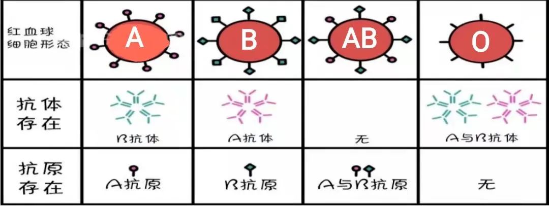 全球不足50例,黄金血型到底多稀罕?医学界 助力医生临床决策和职业成长