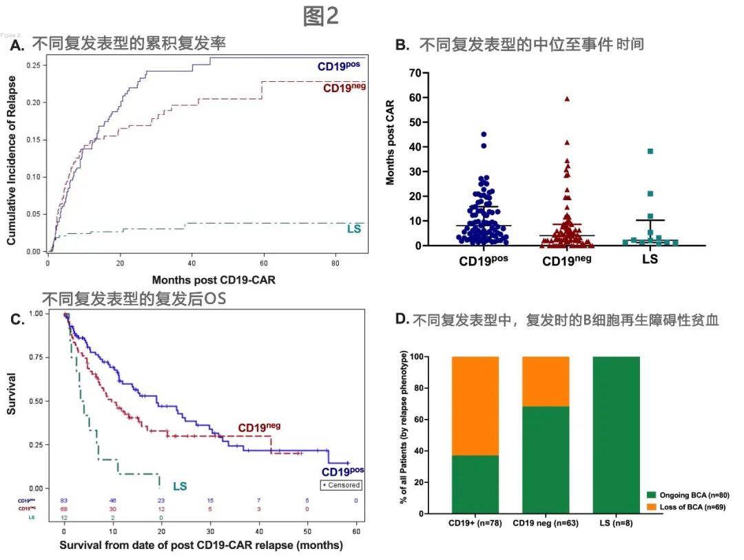 CD19 CAR T治疗B-ALL，输注前因素可影响复发模式_医学界-助力医生临床决策和职业成长