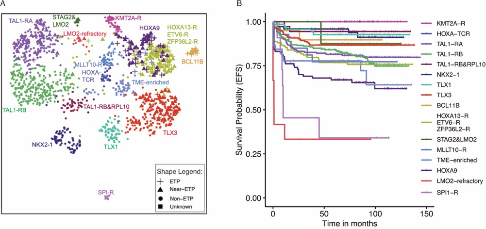 T-ALL的综合基因组特征揭示癌基因激活机制与预后的关系_医学界-助力医生临床决策和职业成长