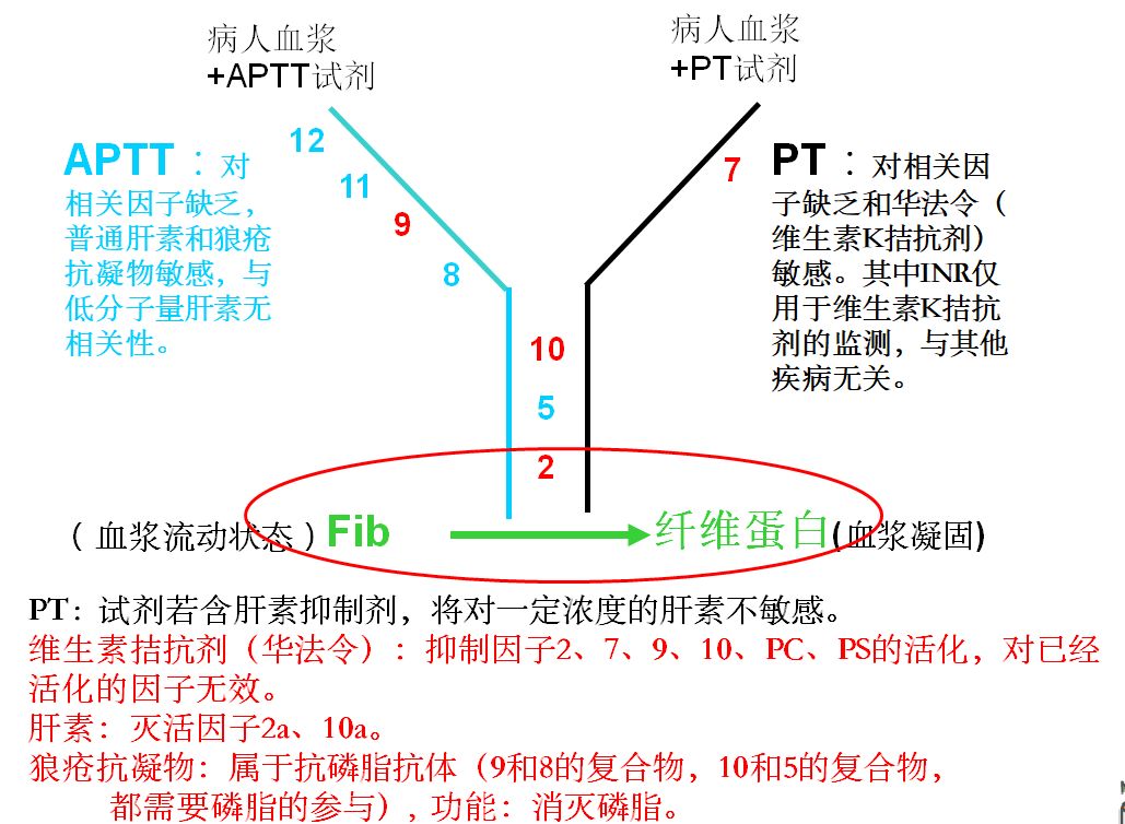 遇到APTT单独延长，这里把完整的处理思路讲清楚了_医学界-助力医生临床决策和职业成长