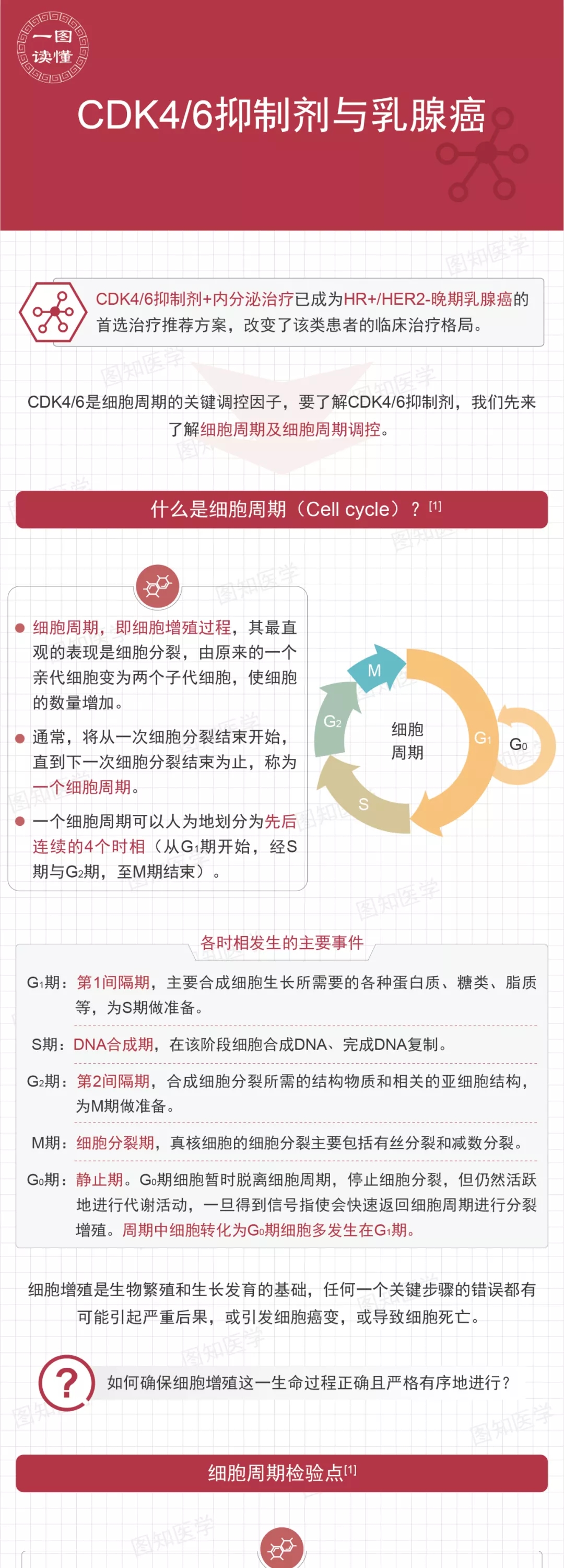 一图读懂 | CDK4/6抑制剂与乳腺癌_医学界-助力医生临床决策和职业成长