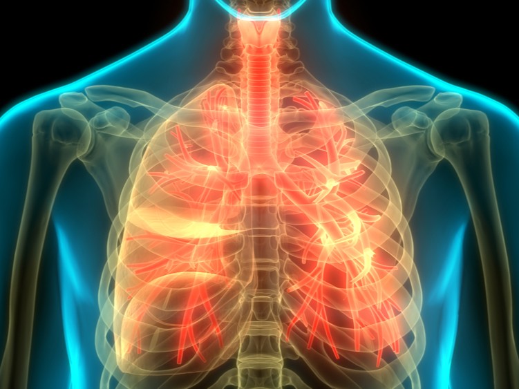ETER701研究四药联合新模式，首创ES-SCLC一线生存新高度